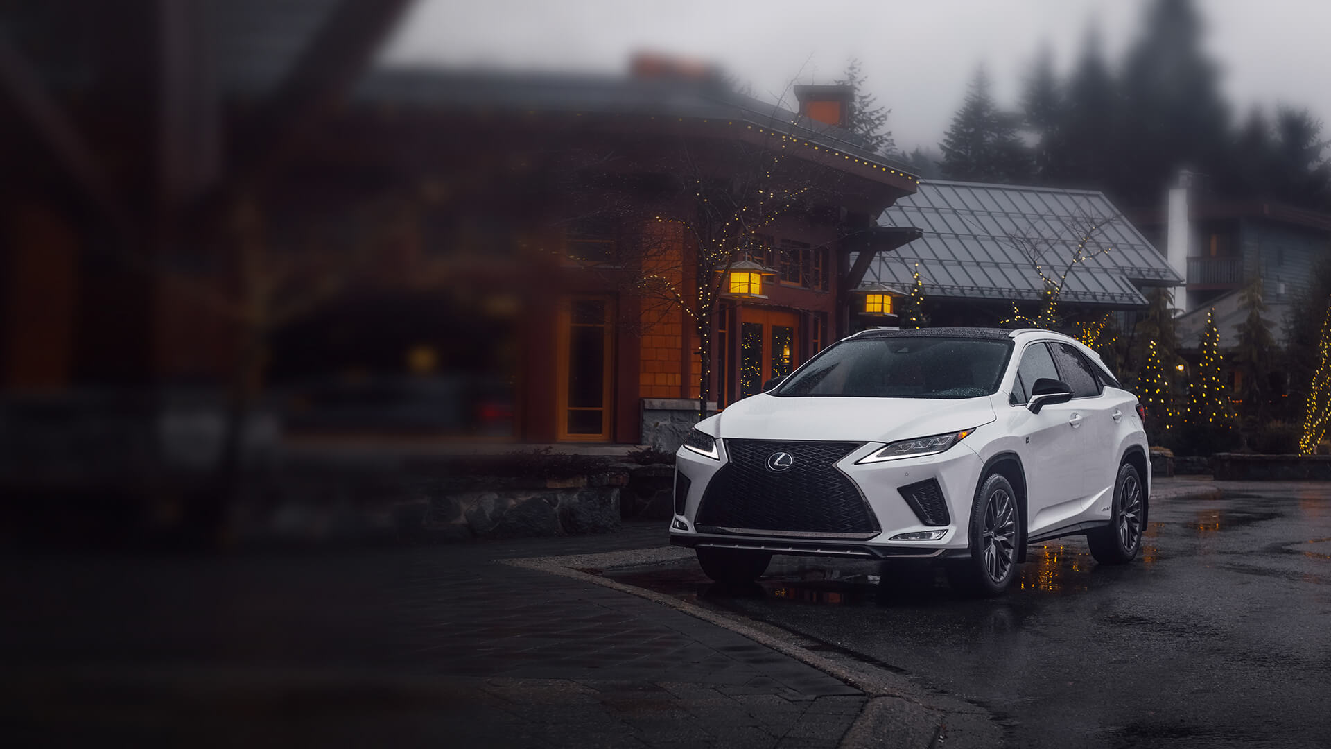 Lexus Central Saigon | Luxury & Hybrid Cars | Experience Amazing